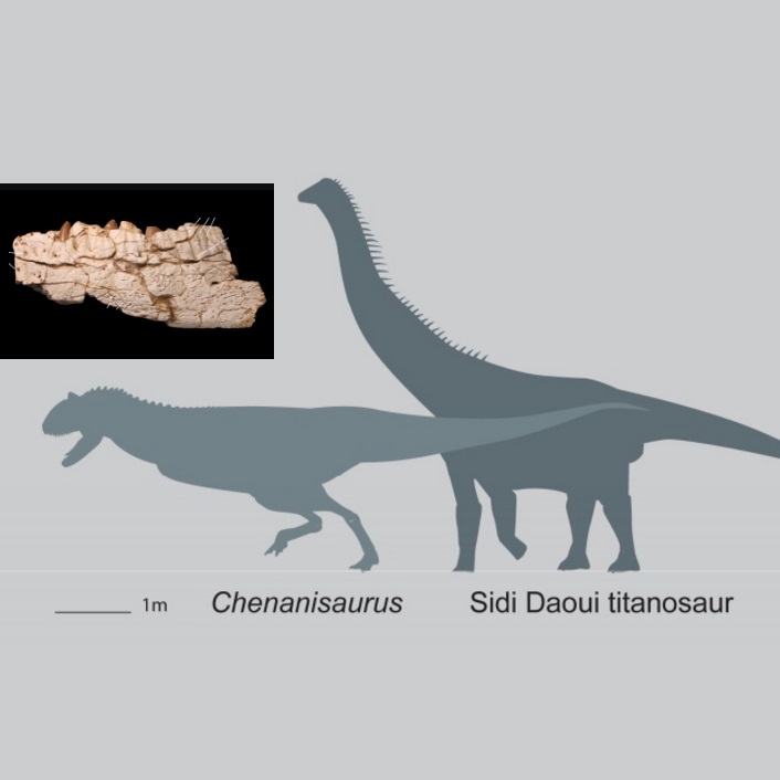 Species New to Science: [Paleontology • 2017] Chenanisaurus barbaricus ...