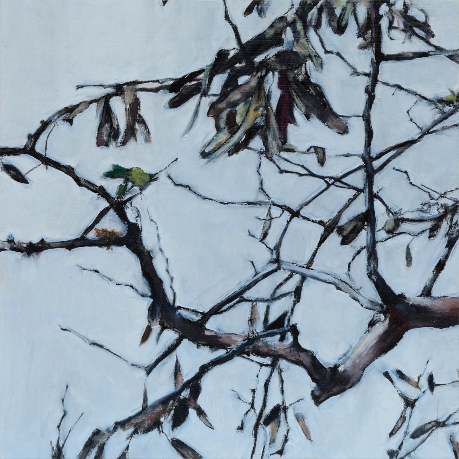 H·B·M: Ramas de otro árbol raquítico