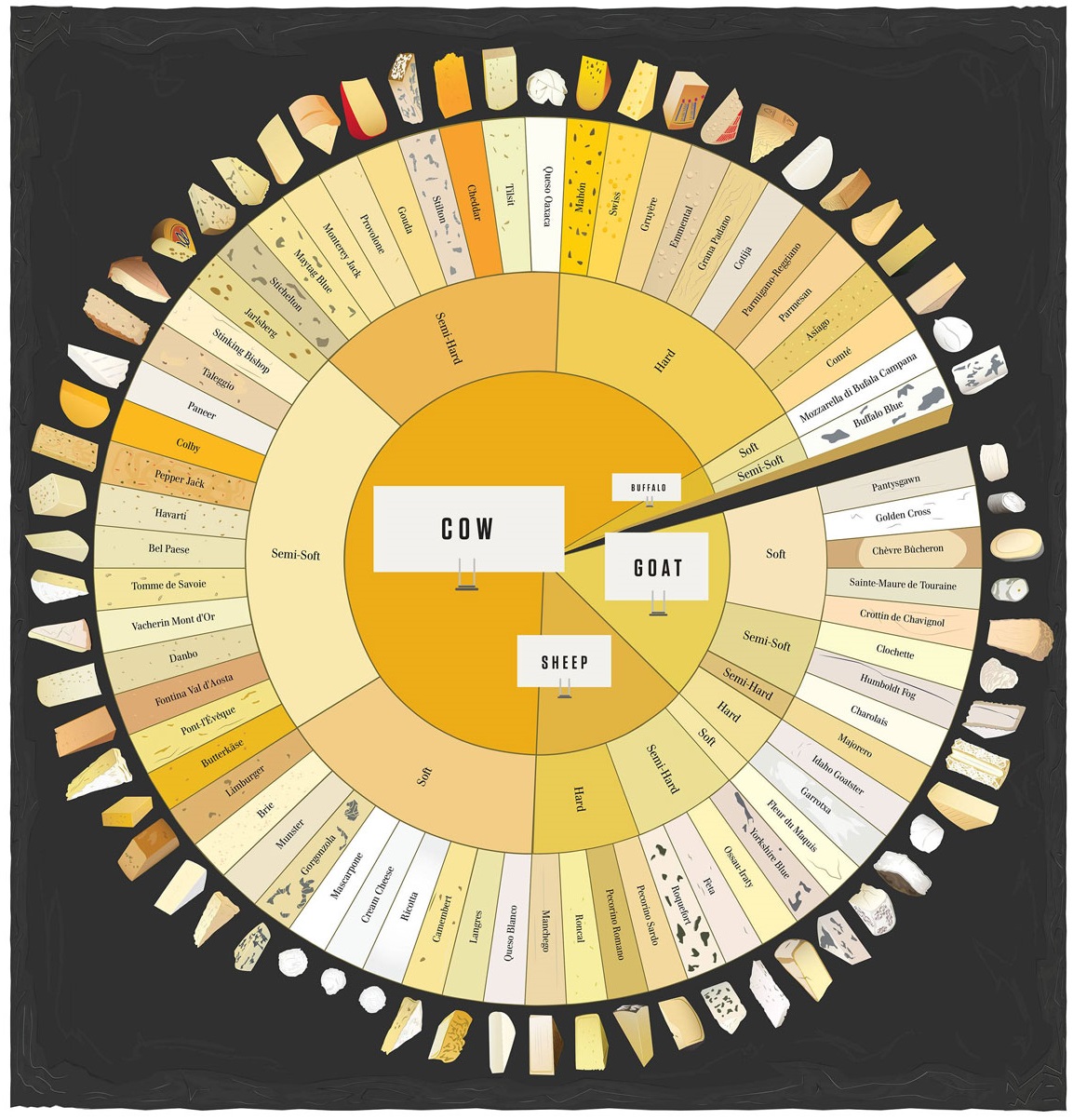 perfect for roquefort cheese: 5x5: turophile edition