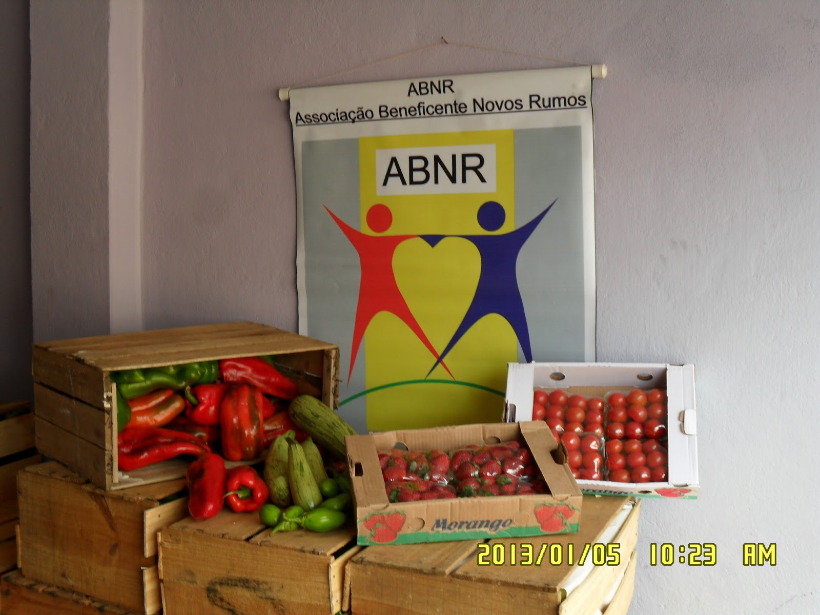 Associação Beneficente Novos Rumos - ABNR