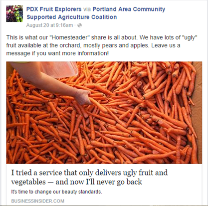 Fruit Explorer: The Fruit Explorer Investigates Other Fruit Explorers