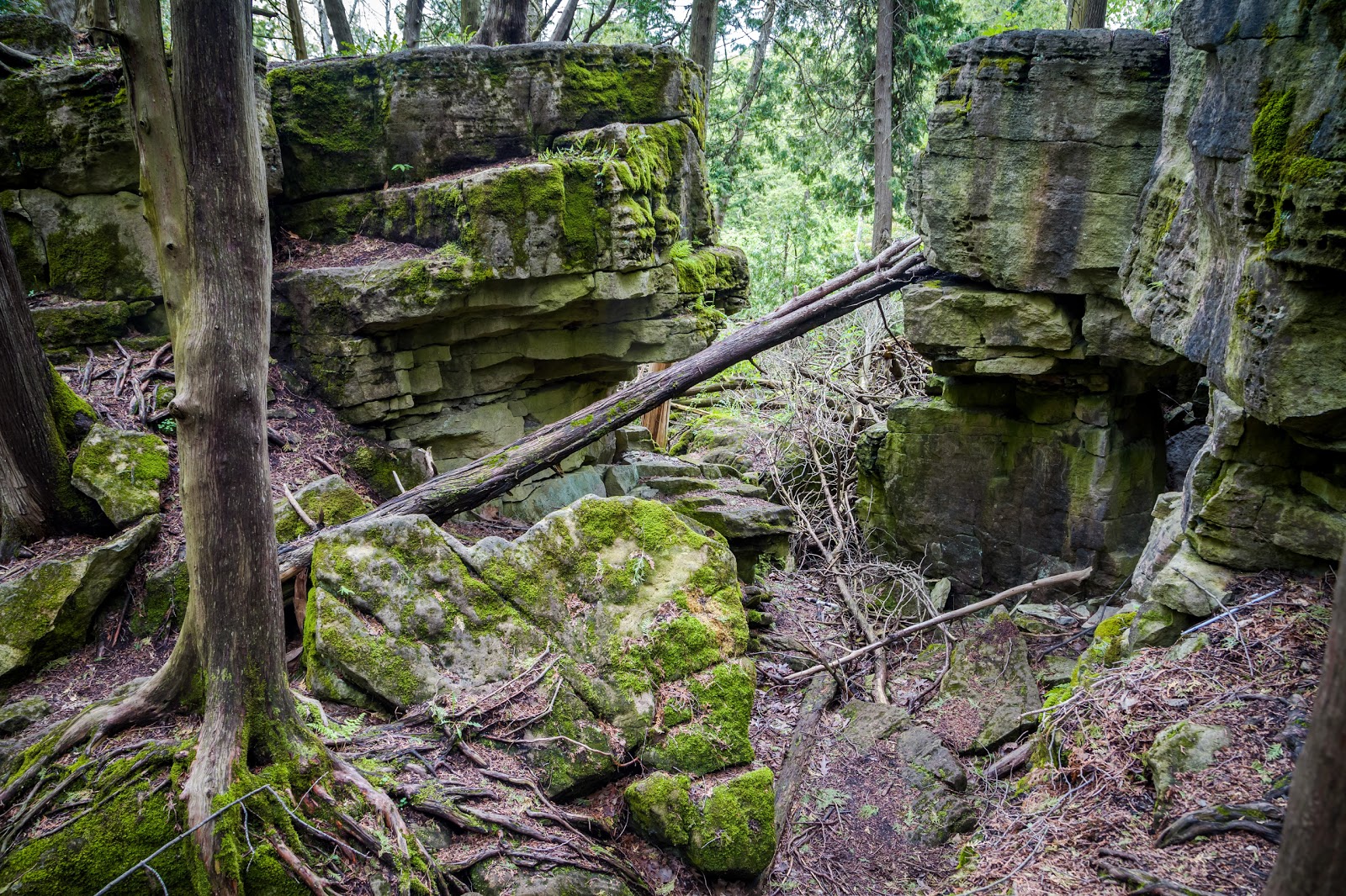 Bruce Trail in Ontario Turns 50 This Year - Let's Hike to Celebrate ...