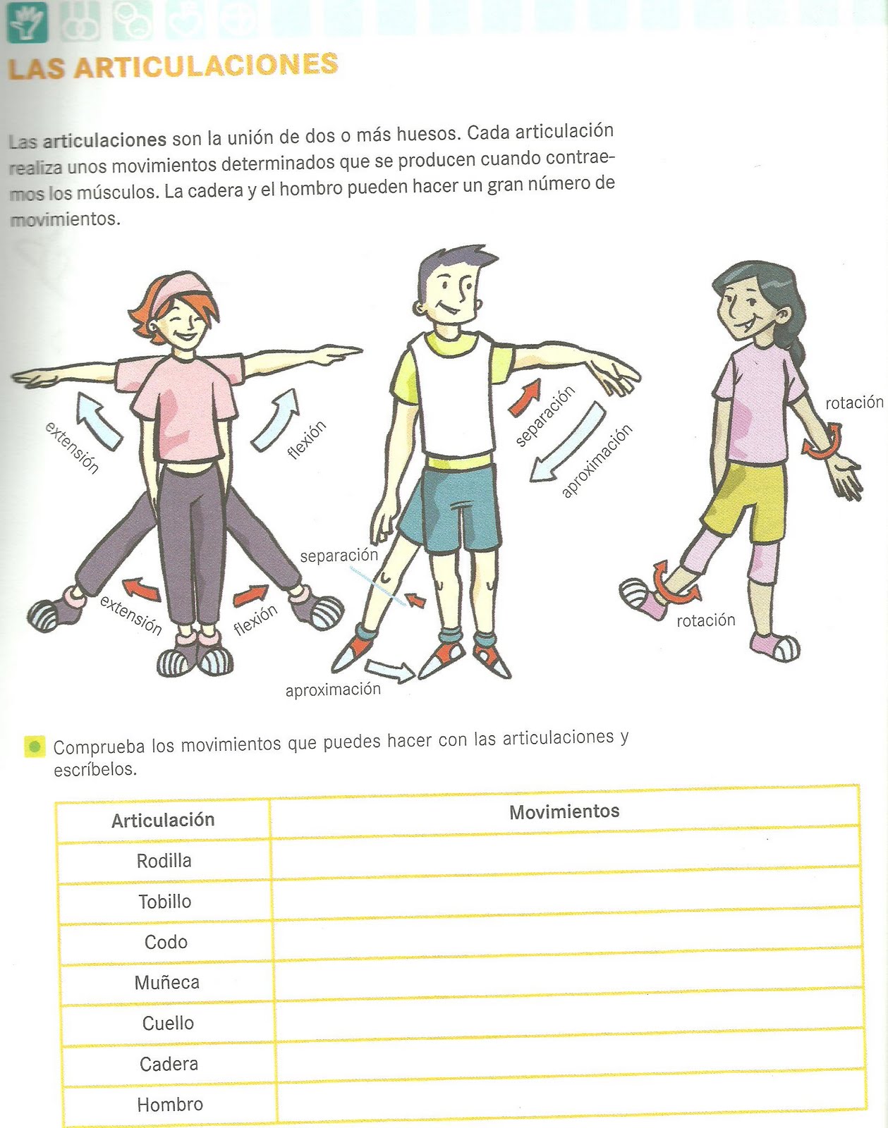 Me divierto en Educación Física: EL APARATO LOCOMOTOR 5º PRIMARIA