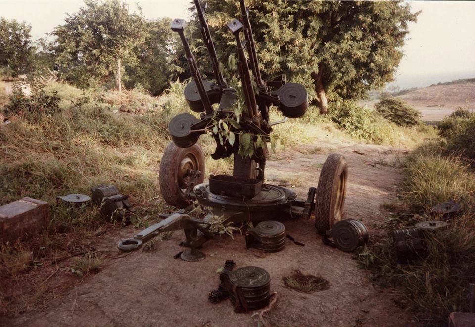 Magic Kingdom Dispatch: Ranger McGraw, the Bryan Staggs Flag, and ...