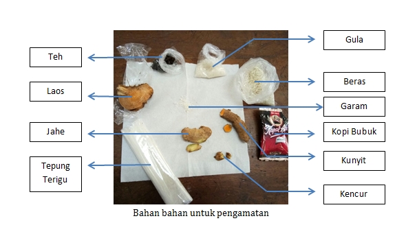 Laporan Percobaan Sistem Saraf, Gerak Reflek, Bintik Buta