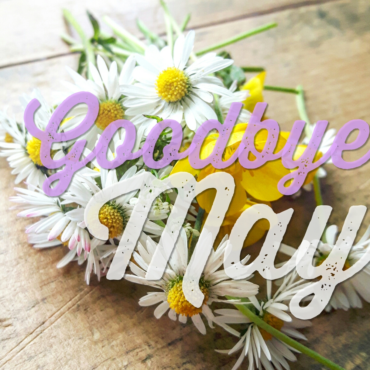 Wafflemama.: Goodbye May: Monthly Roundup