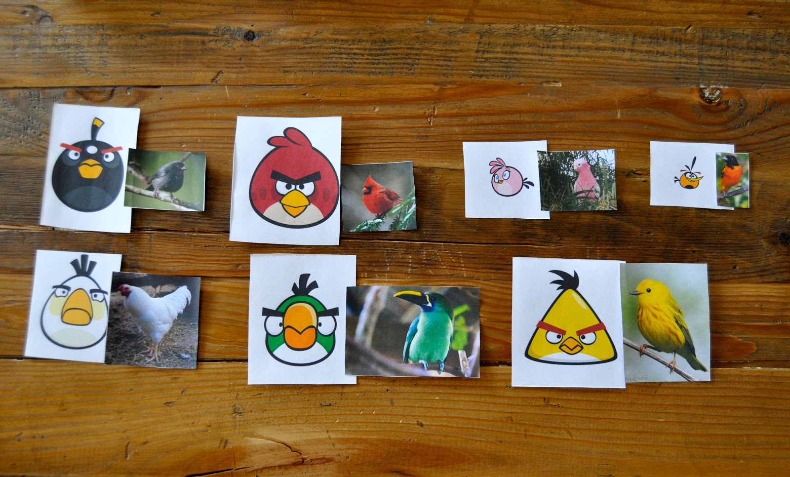 Sorting Sprinkles: Angry Birds Week for Preschoolers