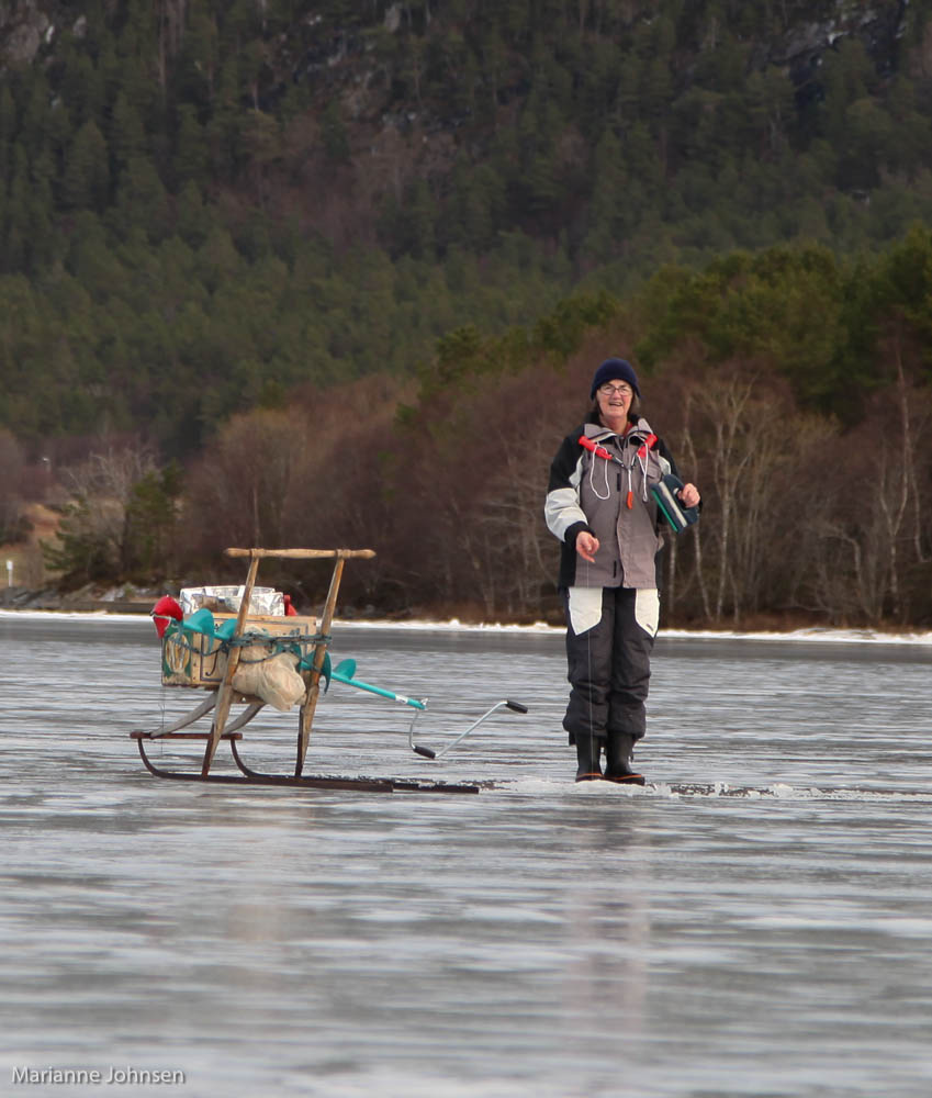 Kompassrosa : " Et hav av muligheter " i Averøy: Istid - Sjøisfiske