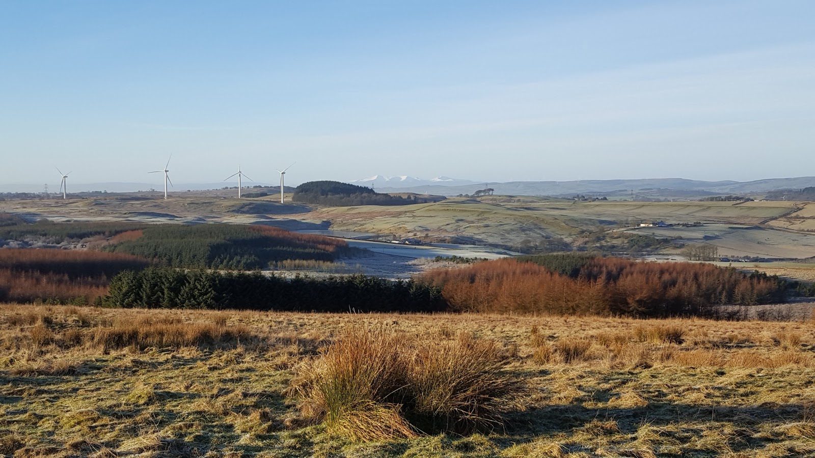 Neil's Hillwalking Exploits: A new year- Neilston Pad