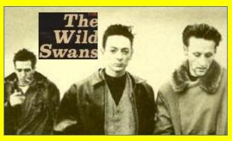 THE DOCTOR IS IN: The Wild Swans "The Platinum Collection"