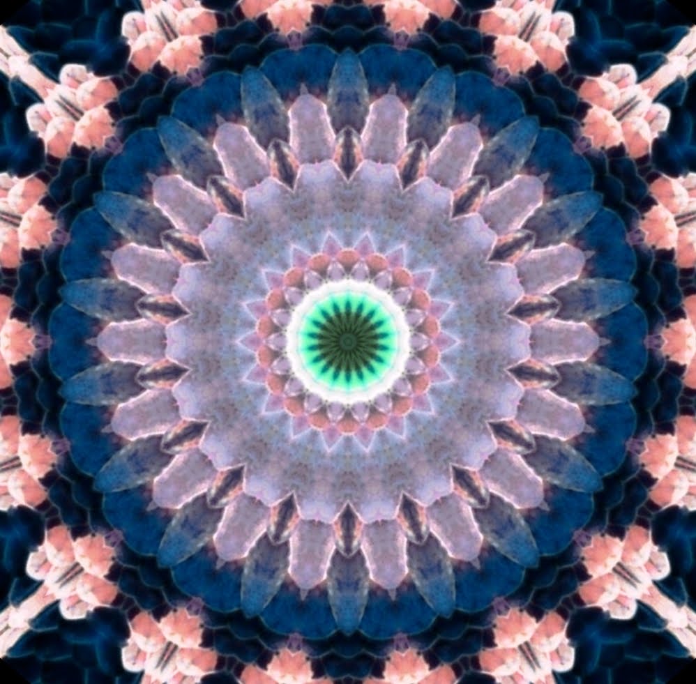 Divinity Withinity - art, creativity, fun: Serpent Mandalas