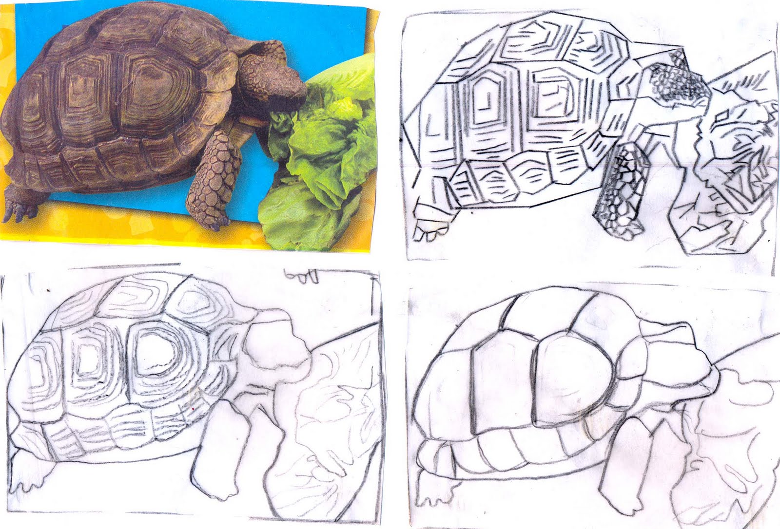 el blog de plástica: procesos de abstracción