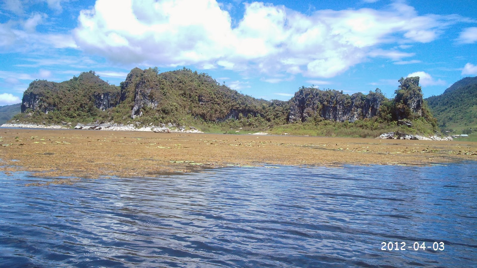 PULAU DUAMO DEIYAI: Biota Danau Tigi Kabupaten Deiyai di Papua