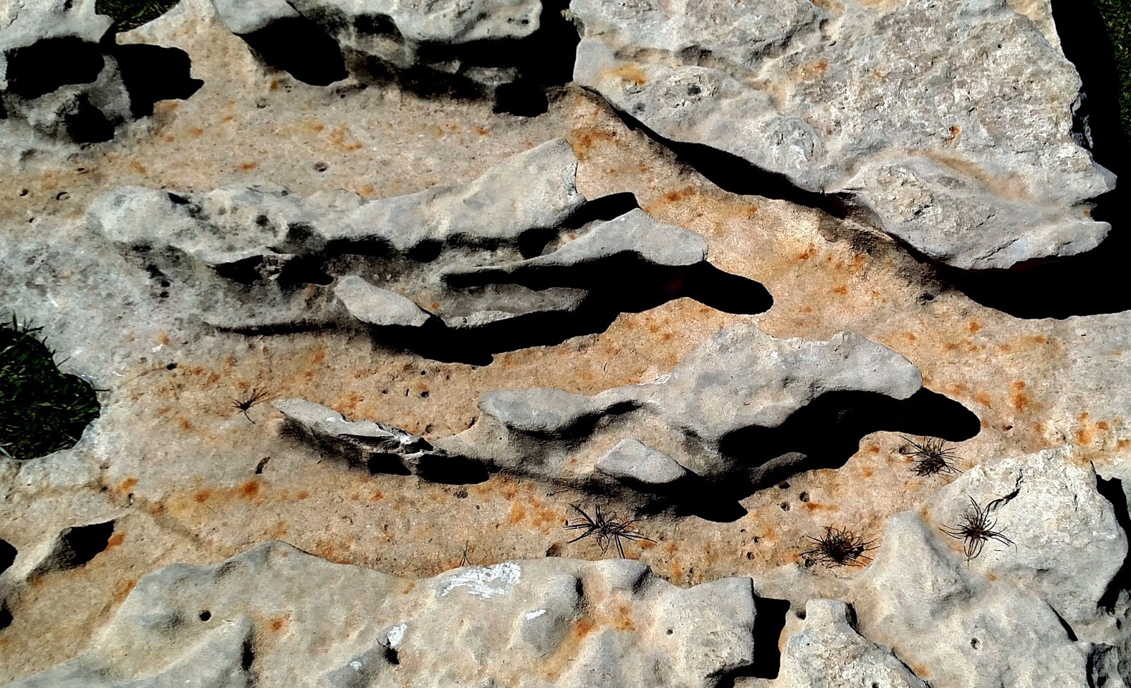 The Mathematical Tourist: Rock Channels