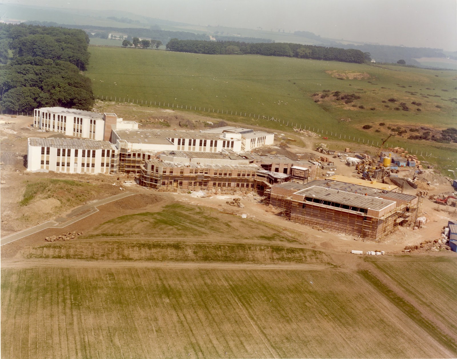 Livingston and The New Town Blues