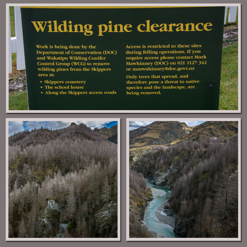 Two Go Tiki Touring: The Famous Skippers Road - Part 1