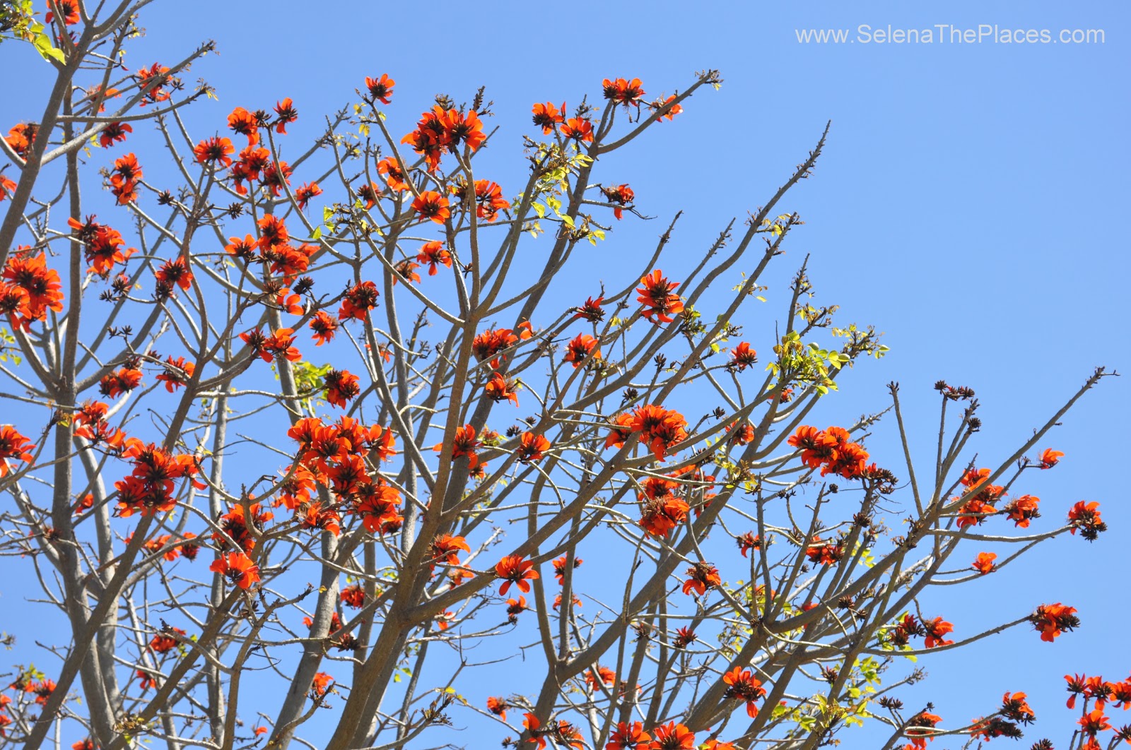Oh, the places we will go!: Rabat, Morocco