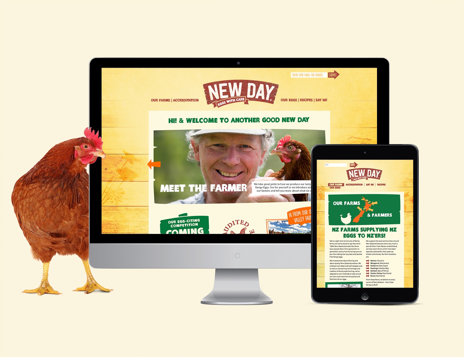 New Day Free Range Eggs – Packaging Of The World