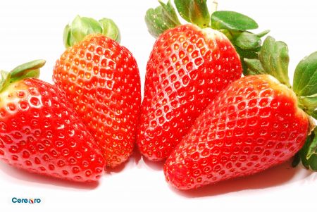 Fitoterapie: CAPSUNA