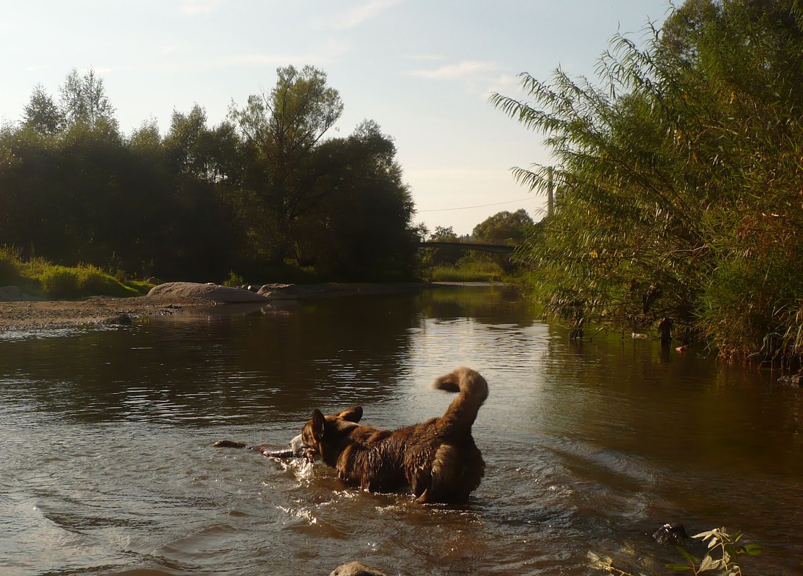 Jaremka: Tak nam dobrze z Panem Bobrze