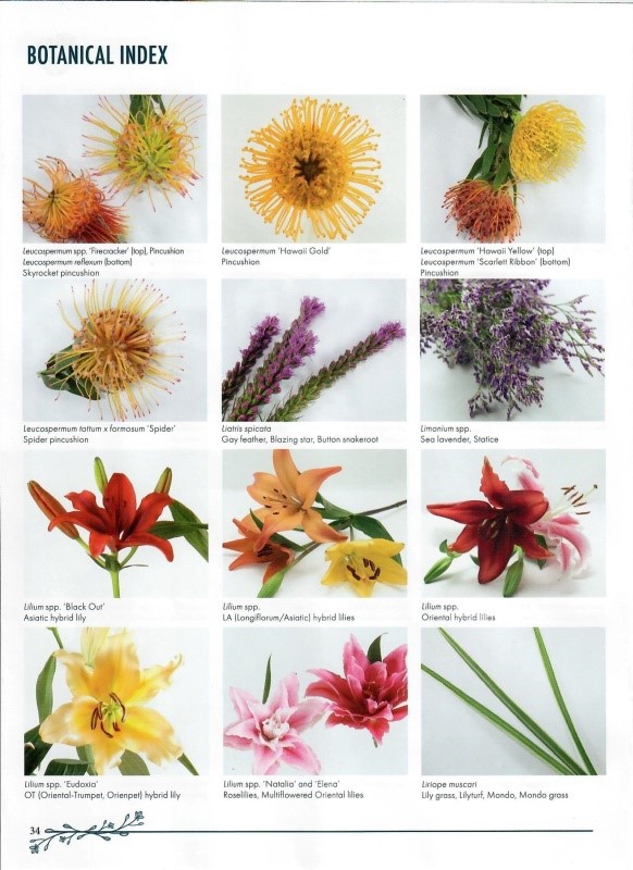 A Passion for Flowers: Farm & Flower Guide 2018/2019