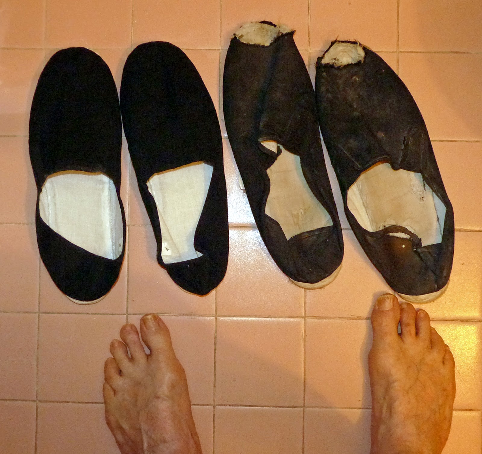 The Blue Elephant: New Slippers; Old Worn-Out Slippers; Old Feet