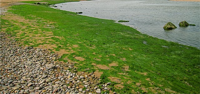 According2Robyn: The Proterozoic Eon, Part 3