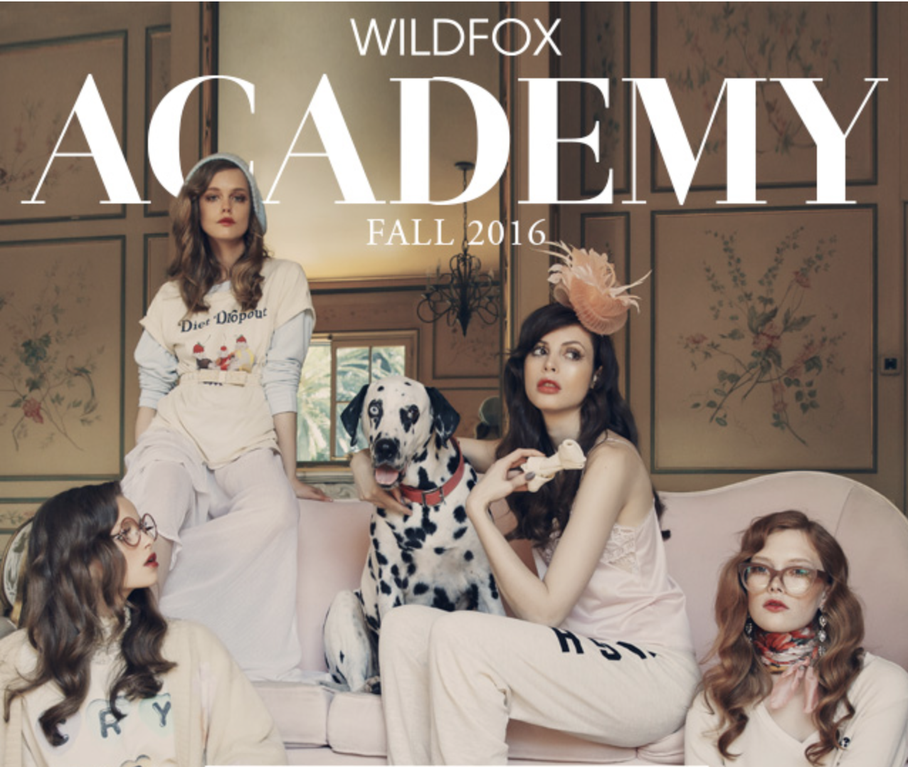 Wildfox Academy | Fall 2016