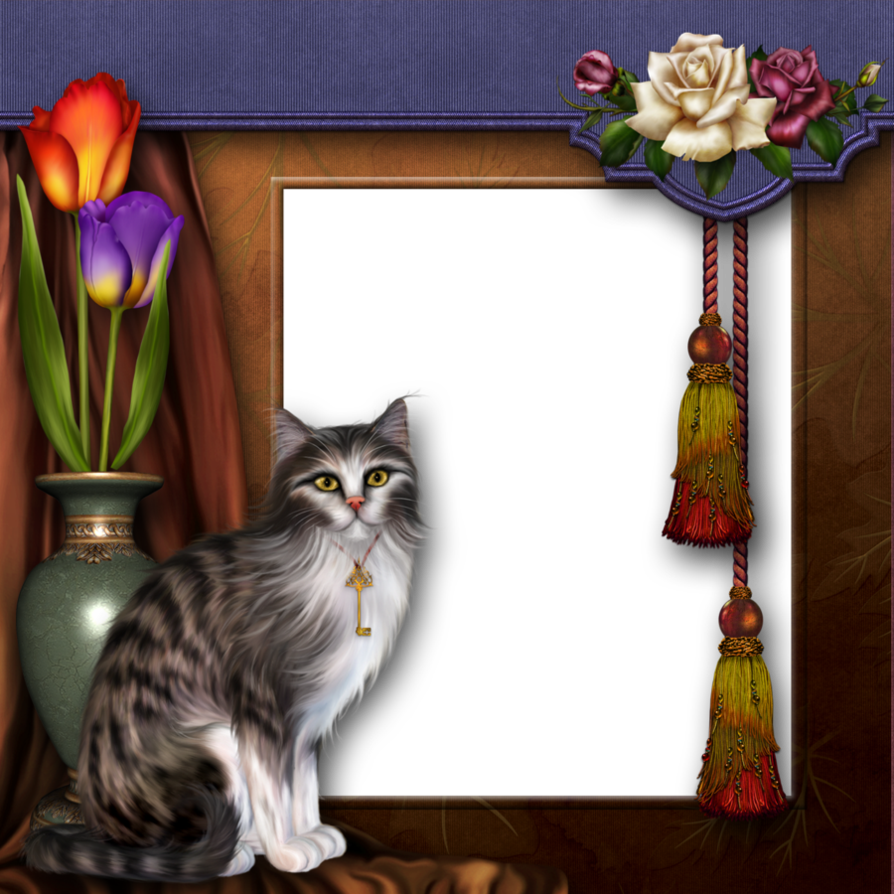 cat_frame_by_collect_and_creat-d4iayhc.png (894×894) | Palavras de amor ...