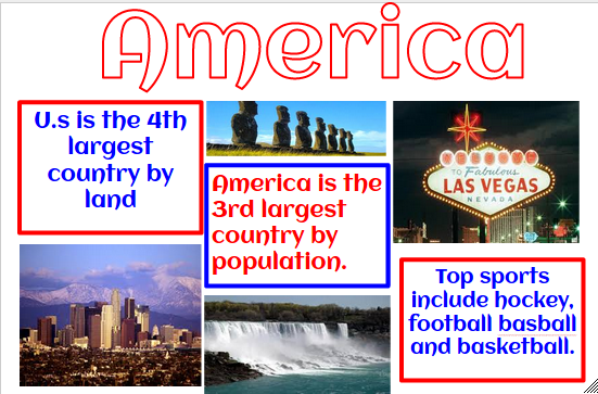 Fine : American Brochure