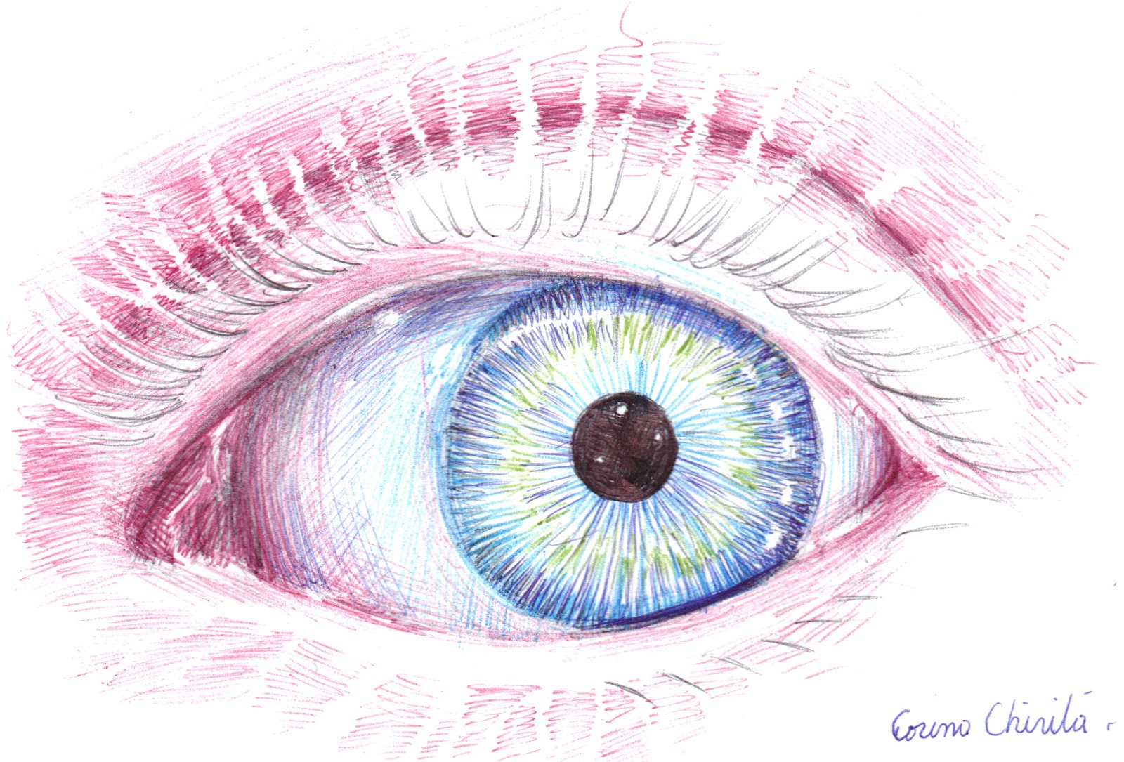 ♥*CORinAZONe ART- The art of Corina Chirila*♥*:...: My new ball point ...