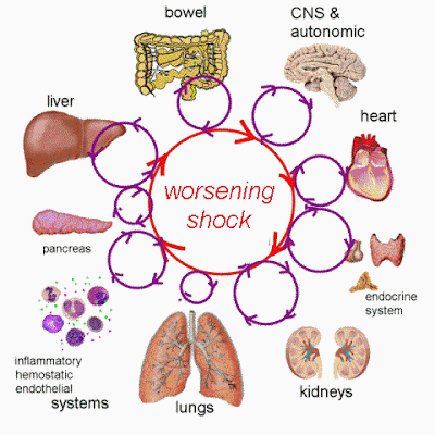 | Free Medical Slids