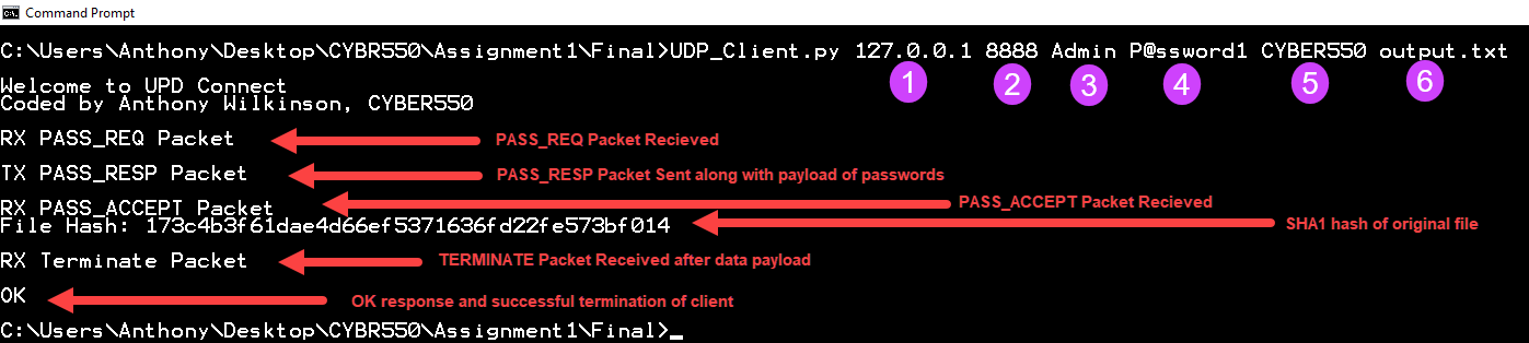 UDP Socket Programming