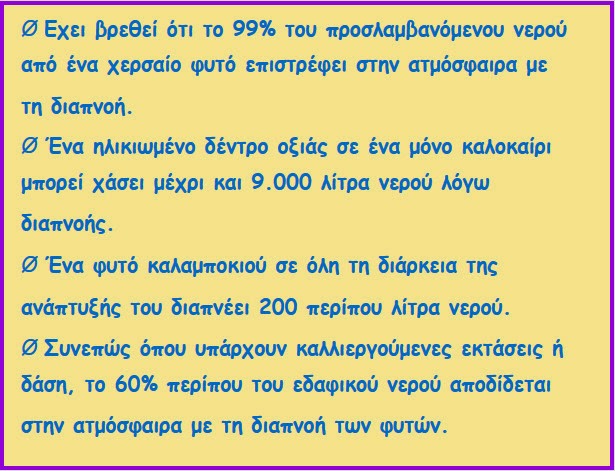 1ο Δημ. Σχολ. Αγ. Δημητρίου: Φυσική Στ΄ - (Φυτά) Η διαπνοή