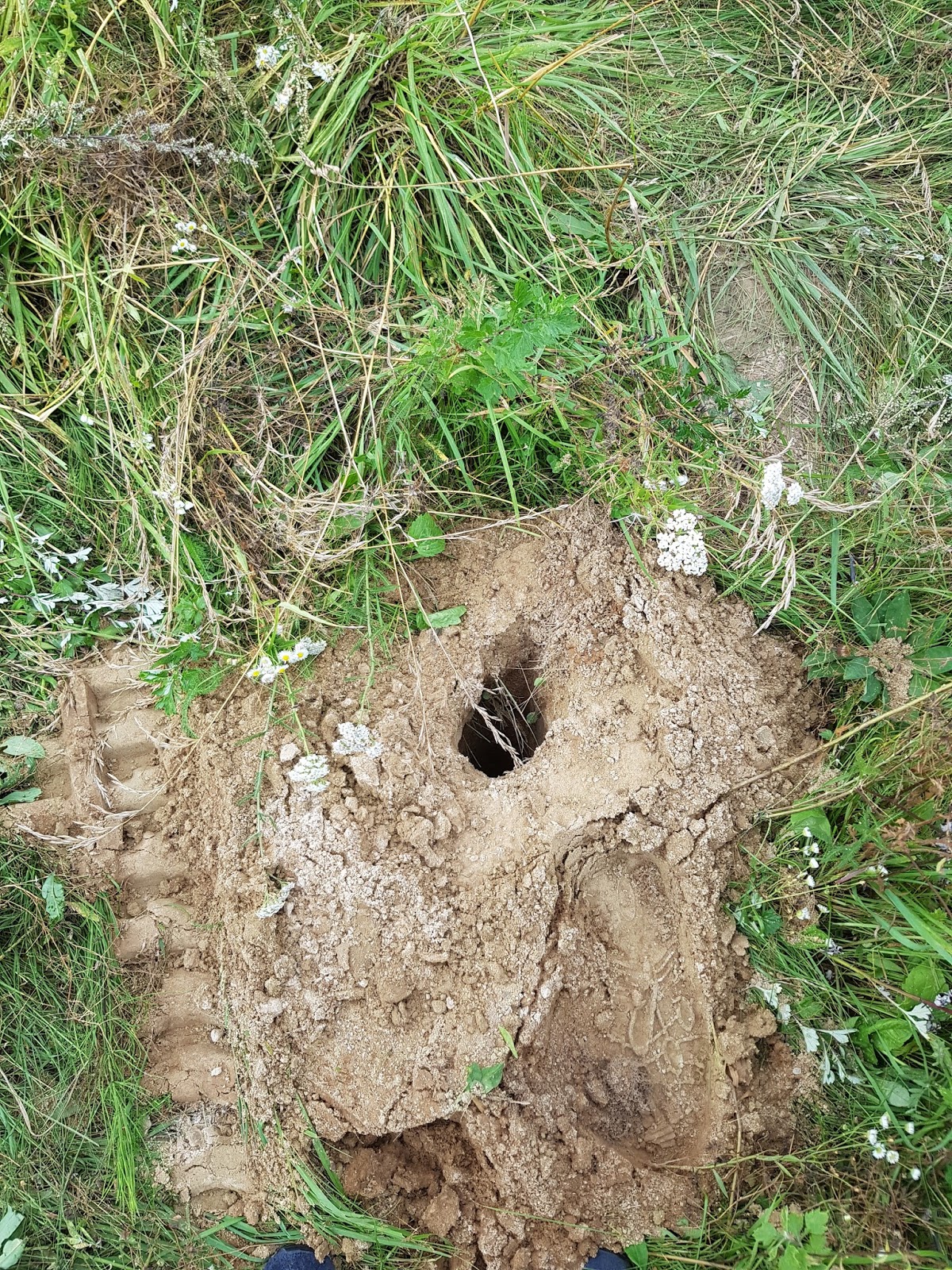 Audriaus ir Rūtos pirmasis namas!: Grunto tyrimas + ESO + Infostatyba