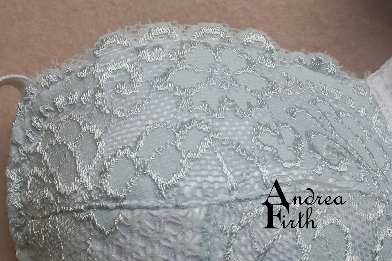 Obsessive Creativeness: Lingerie: Pale Blue Lace Covered Bra