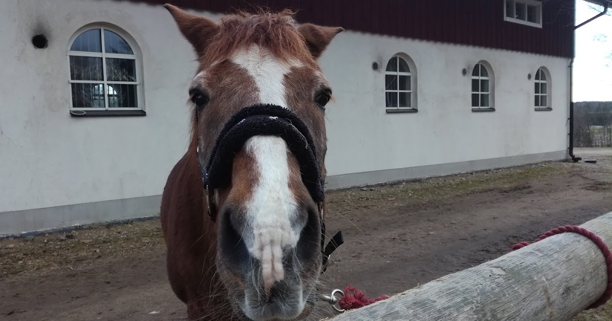 #182: Ryskyn kanssa tunnilla