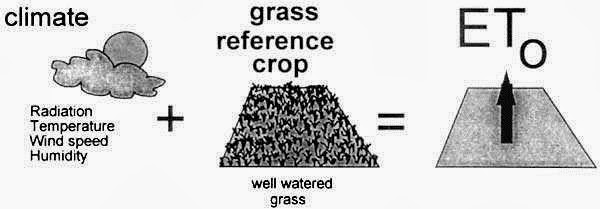 EVAPORATION, TRANSPIRATION & INFILTRATION: EVAPOTRANSPIRATION