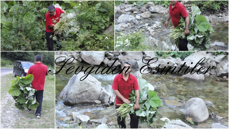 Sevgiden Esintiler: Kabalak Turşusu (Yaz Turşusu)