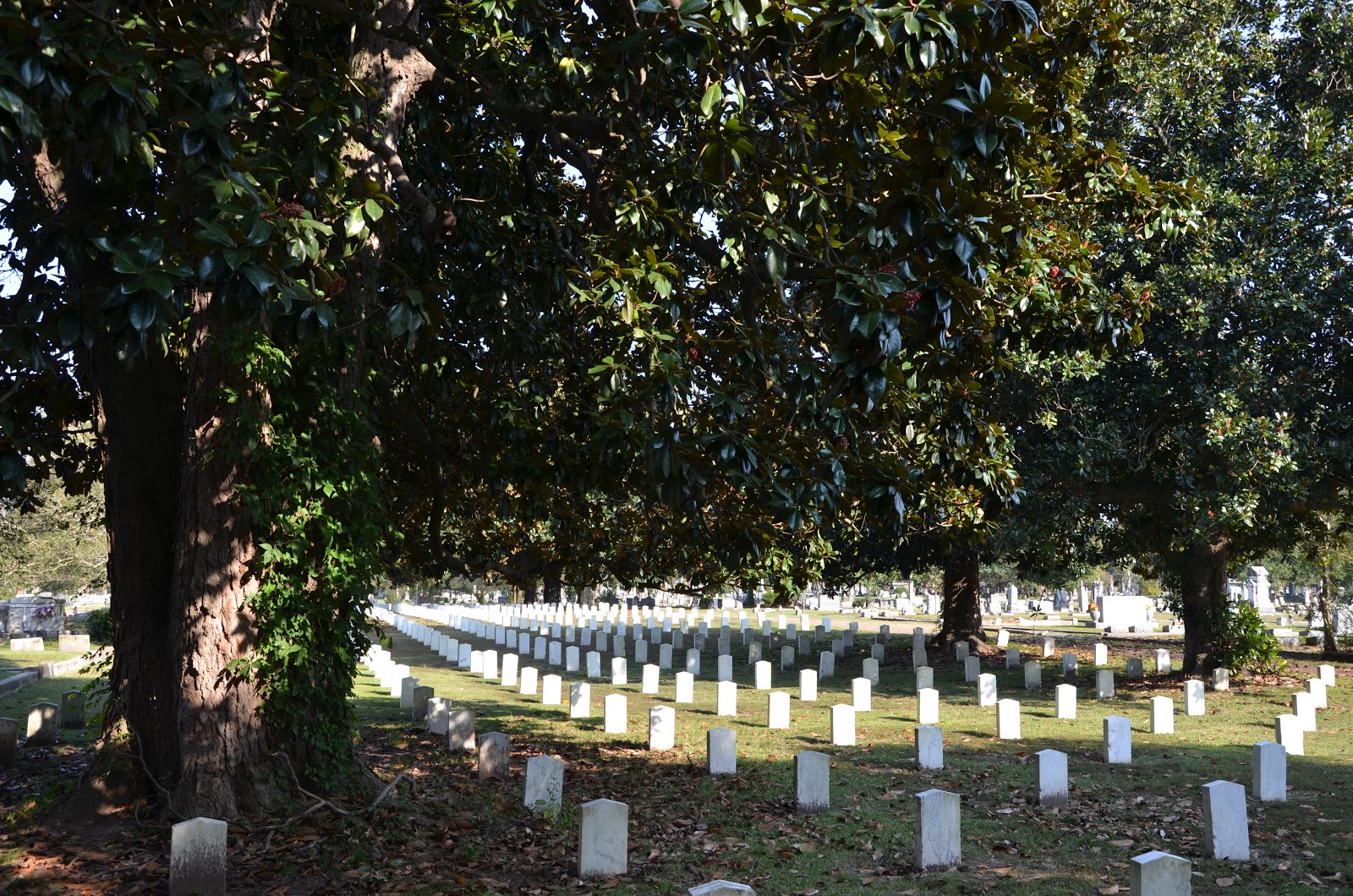 picture the south: southern cemeteries, part I: friendship cemetery