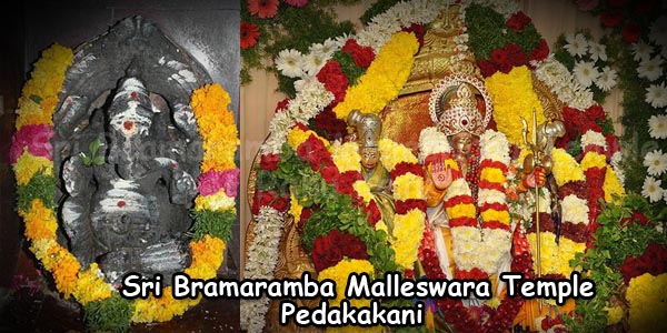 Mangalagiri Sri Malleswara Swamy Vari Devastanam | Mangalagiri Temples