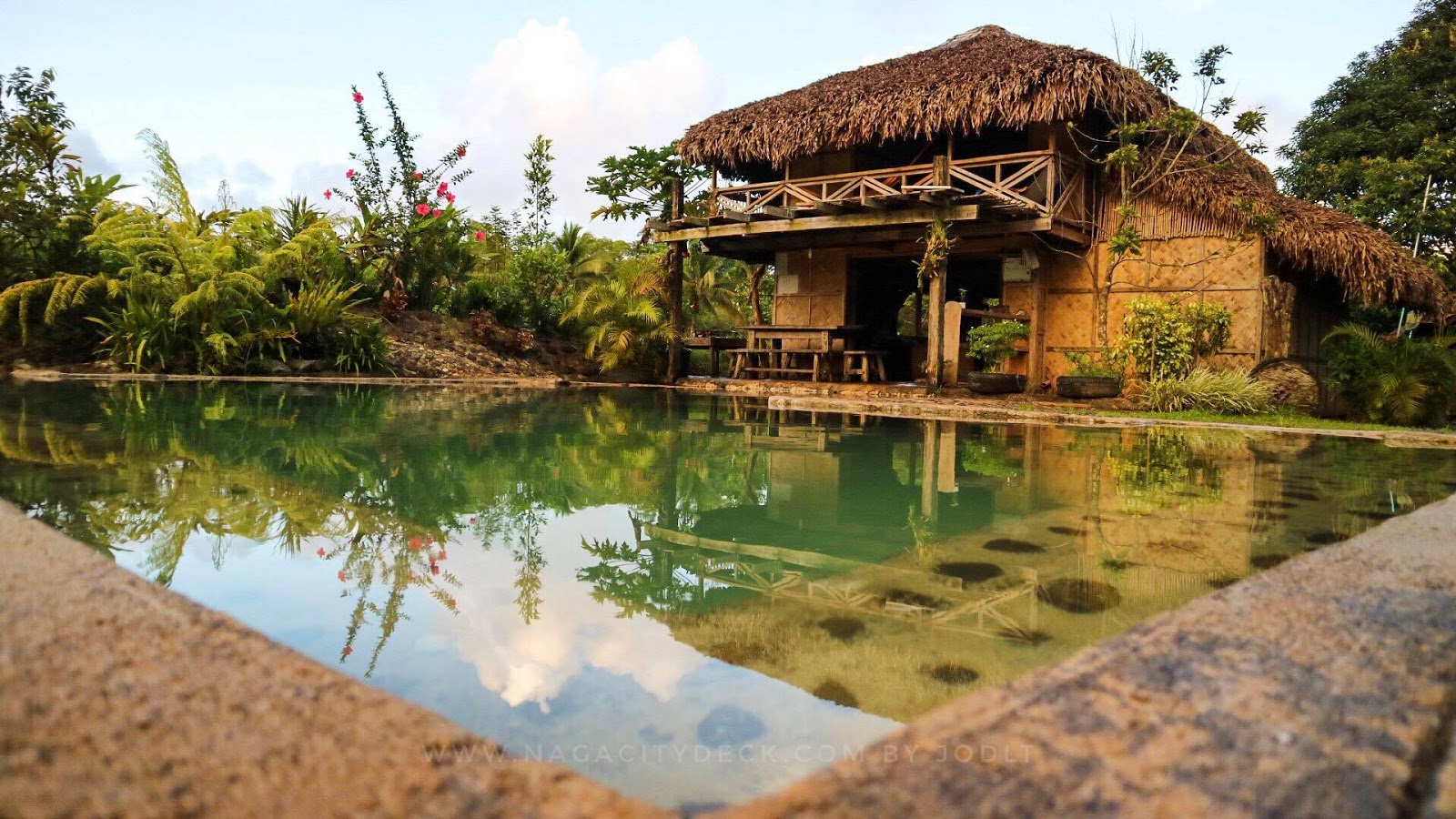 #NcdTravels: Bag-Angan Farm and Resort, A Back-to-Basic Experience in ...