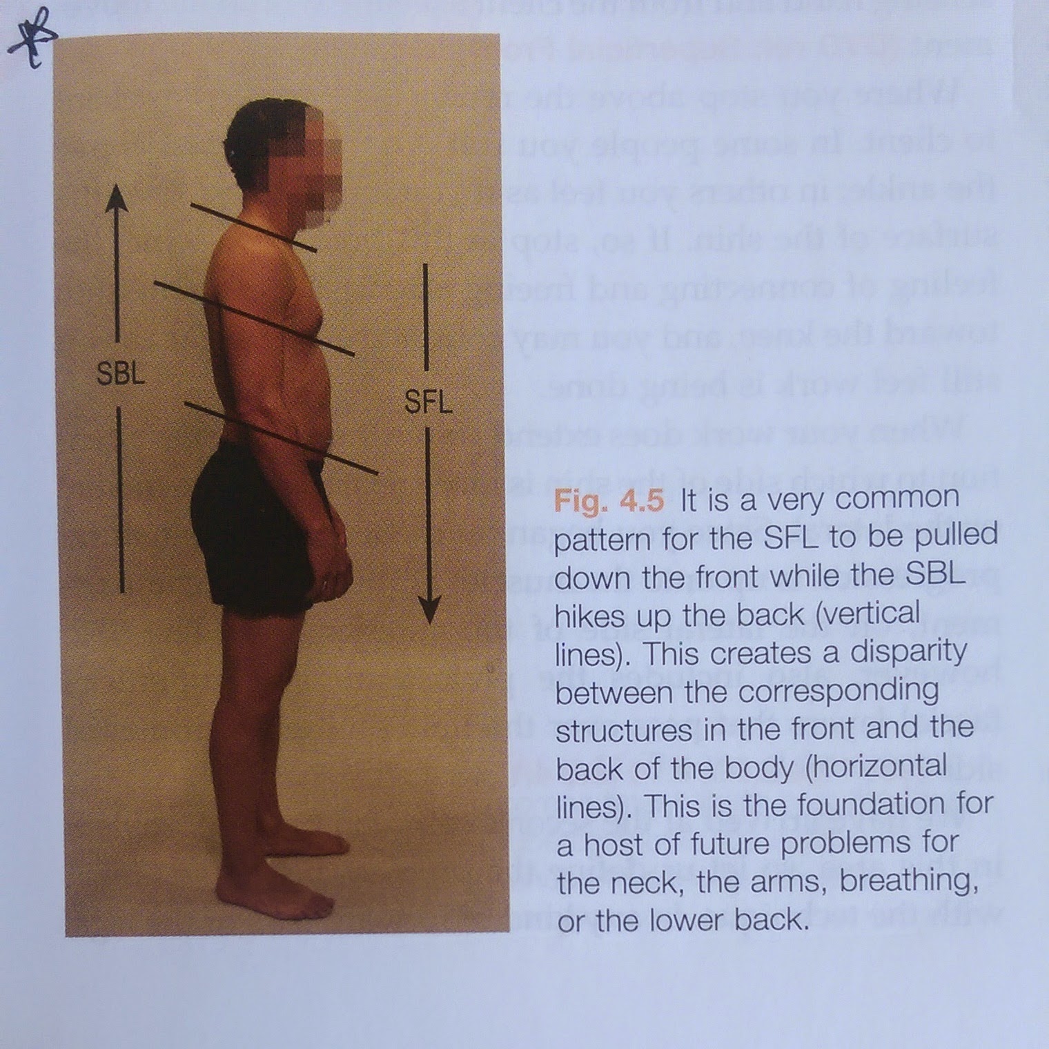 Balance: 2. The Superficial Front Line