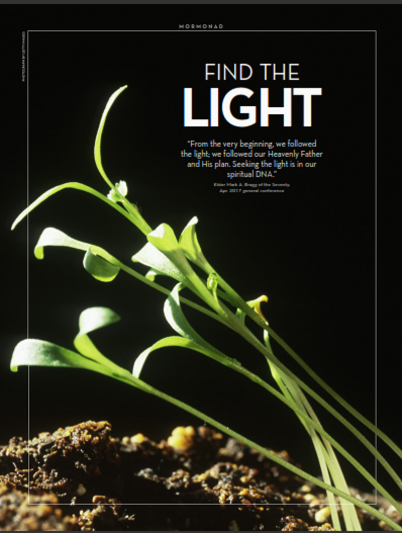 The Healers Art: Seeking the Light is in our spiritual DNA.