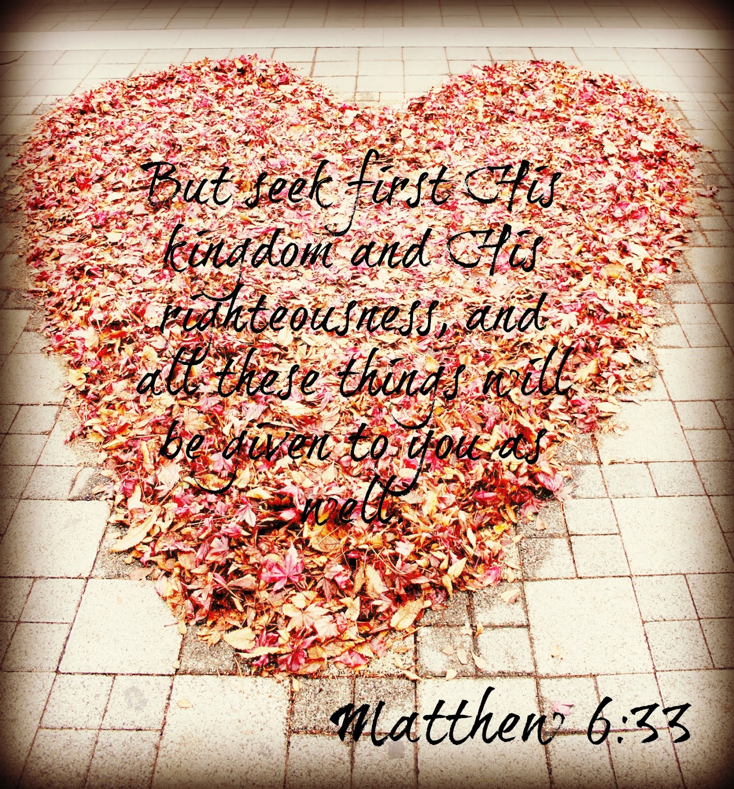 God s Princess Matthew 6 33 god-s-princess-matthew-6-33