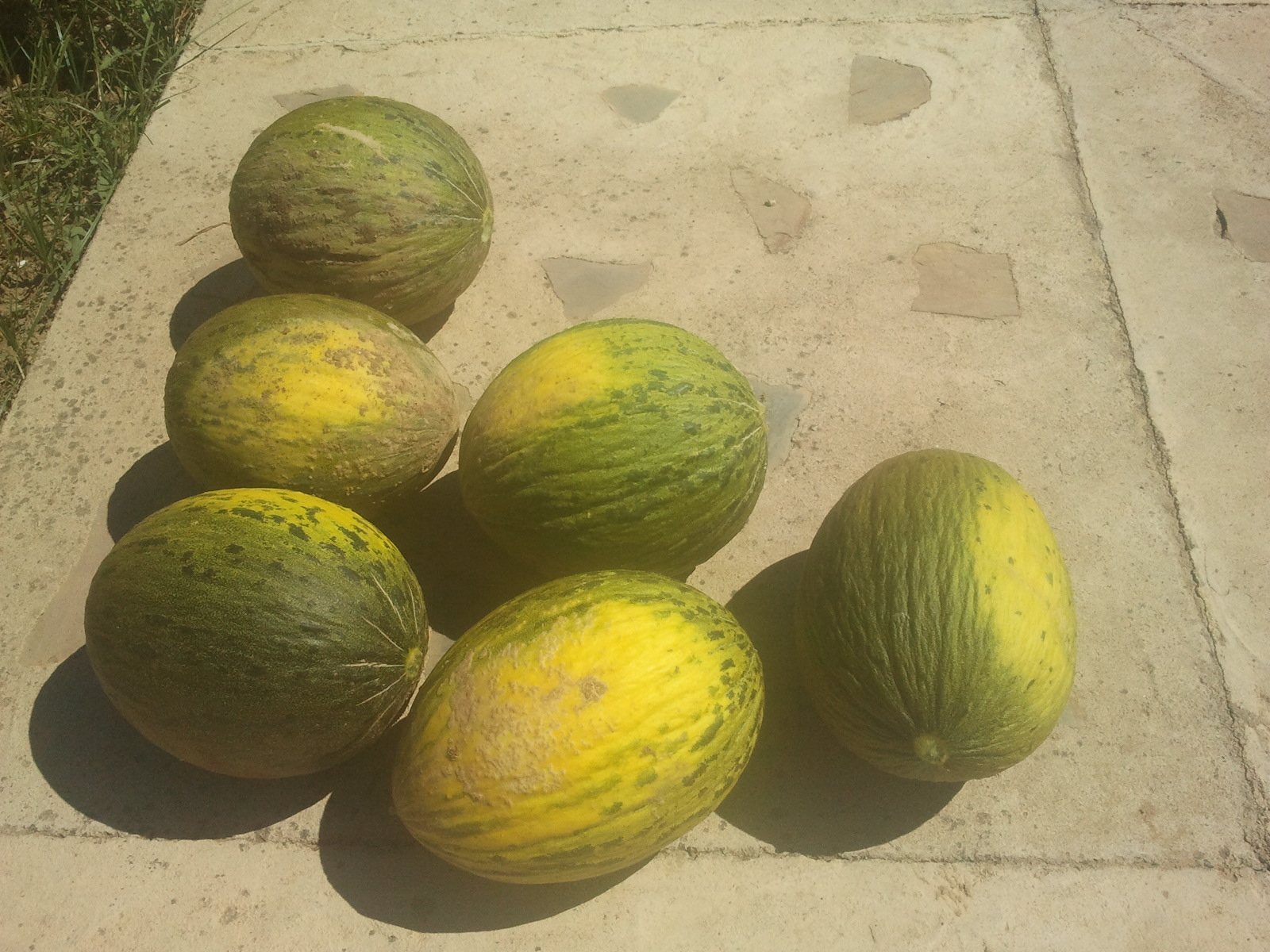 Faenas de la Huerta: 2012