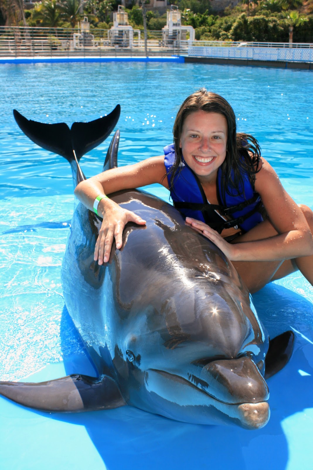 Mindful Media Movie & Book Reviews : DOLPHIN TALE Movie Review