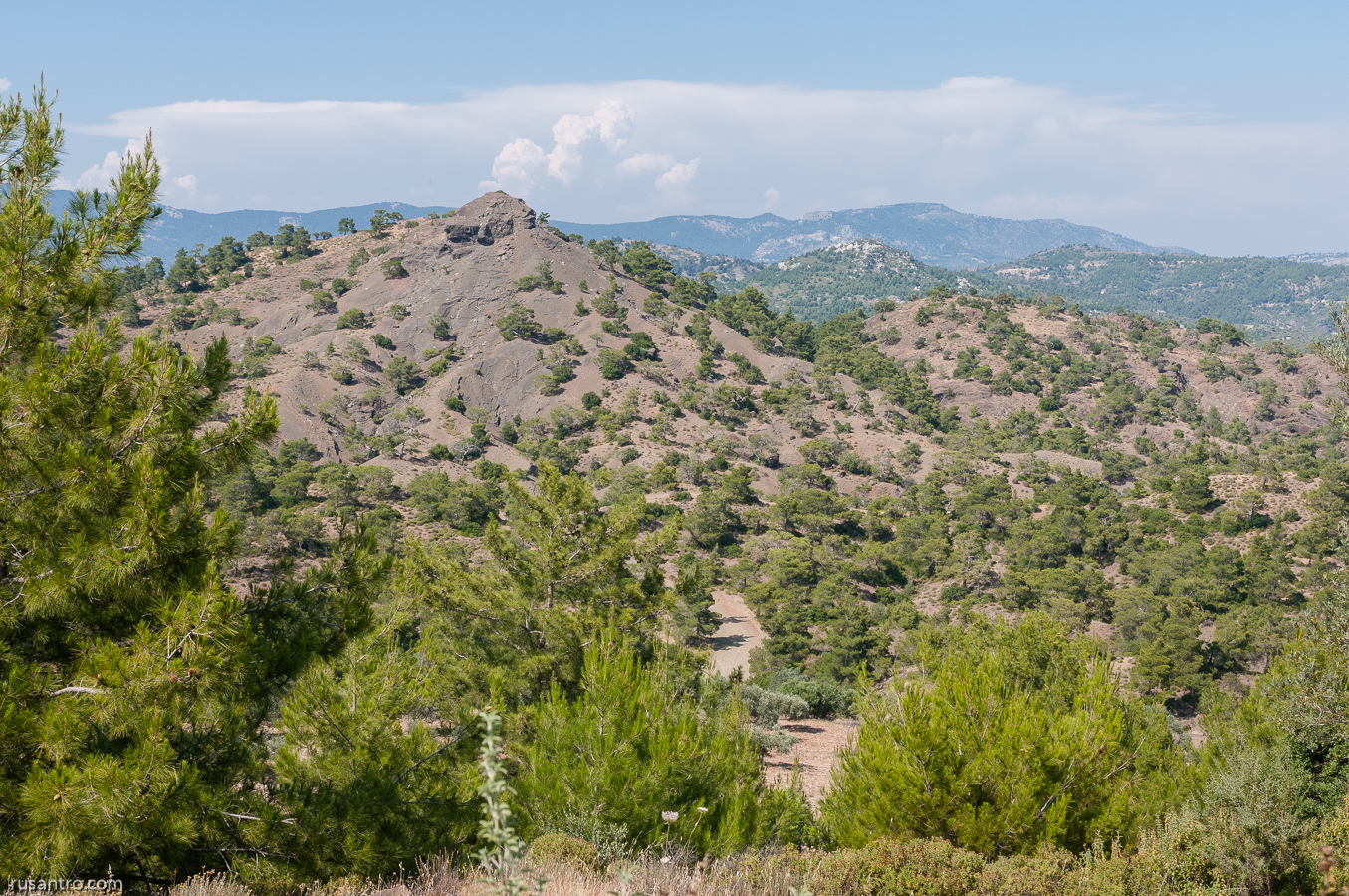 Rodas sala – čuhņa vai sapnis?