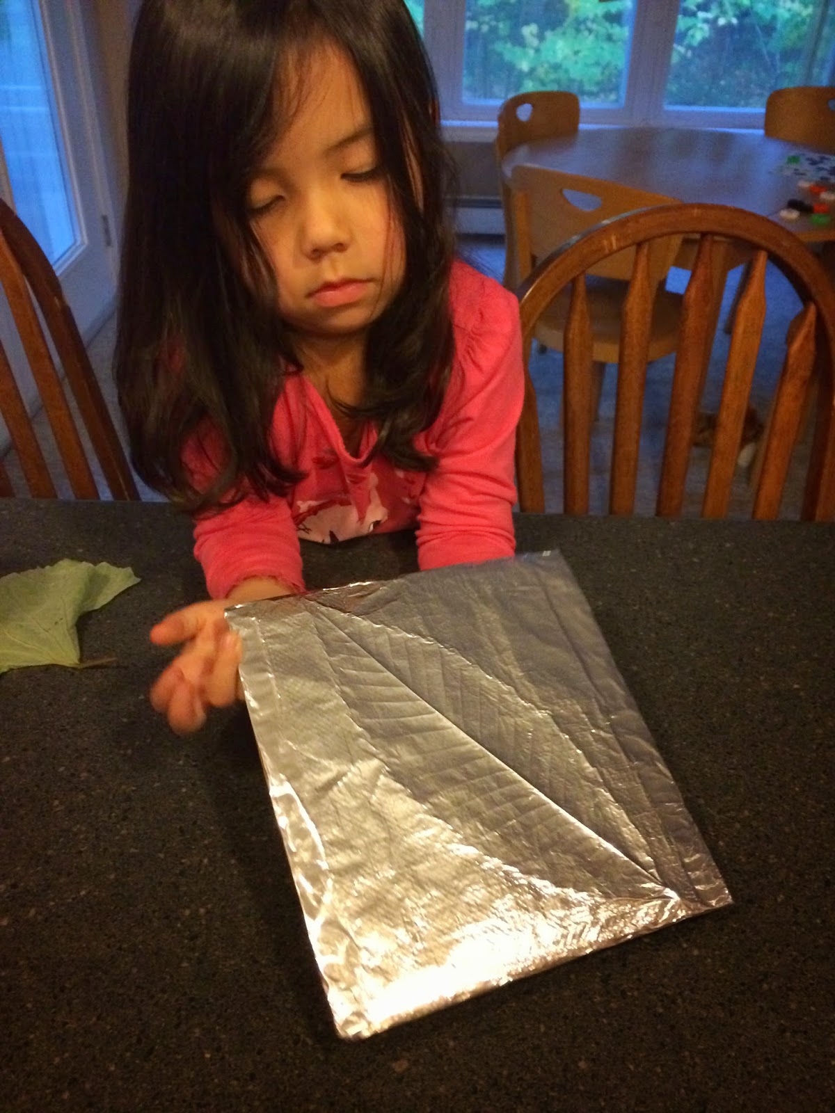 Making Magic Happen: THE coolest Leaf Impressions Ever!