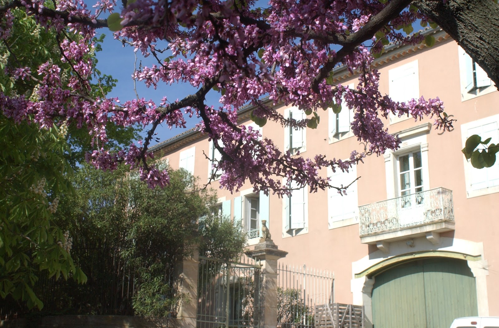Domaine Sainte Lucie D'Aussou: Photographies